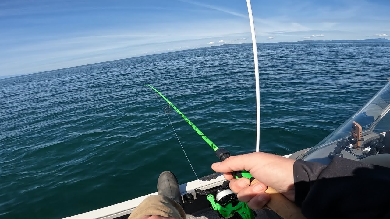 Puget Sound Starry Flounder || #flounder #flounderfishing #pugetsound # ...