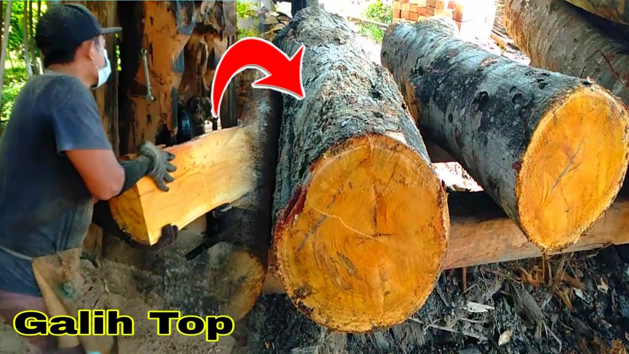 Full Galih..Kayu Nangka ..!! Lama Gak ada Baru kali ini ada Lagi ...