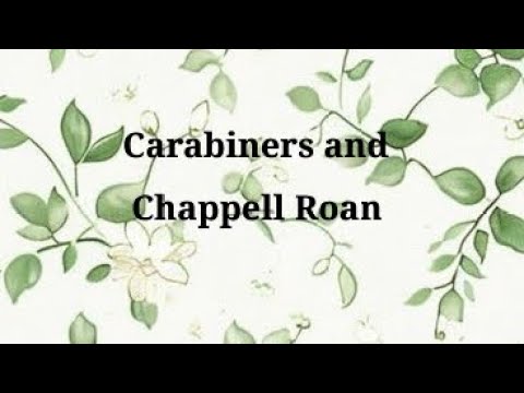 Carabiners and Chappell Roan - Flagging and Queer Coding in Real Life ...