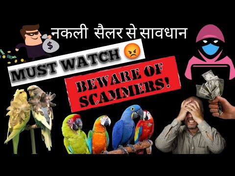 Beware of scammer ! Exotic birds / Birds lovers ke sath cheat ho raha ...