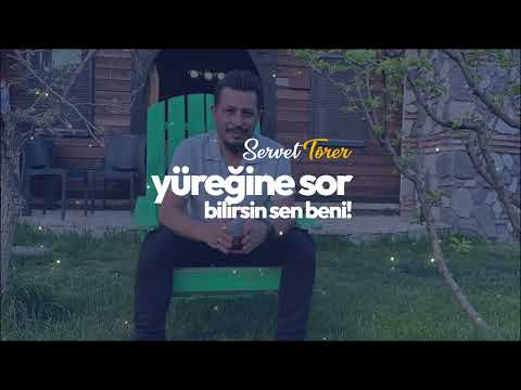 Yüreğine Sor Beni | Servet TÖRER | Official Audio