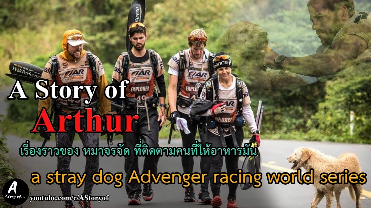 A Story of Arthur a stray dog advenger racing wold series หมาจรจัดที่ ...