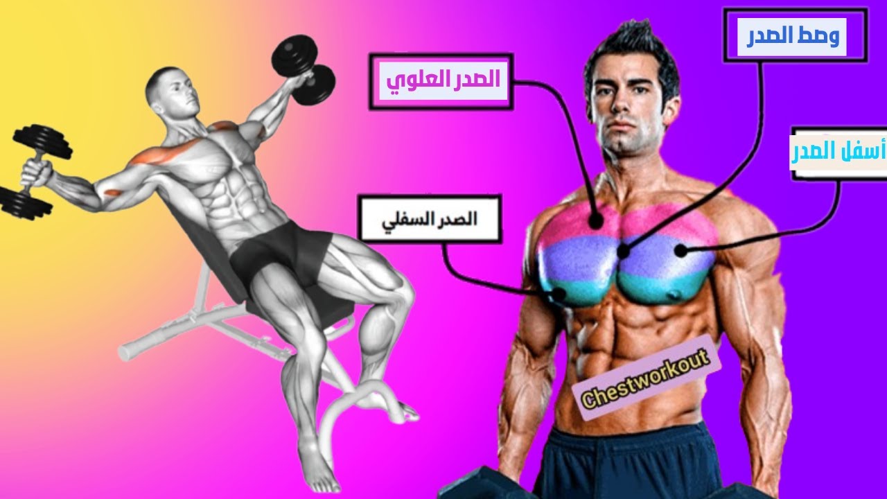 "Ultimate Chest Workout: Build a Powerful and Aesthetic Chest"🔥 - YouTube