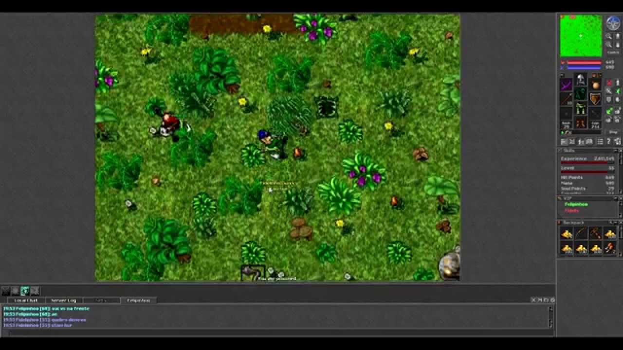 Tibia:Domando panda - YouTube