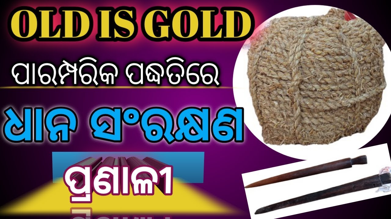 TRADITIONAL METHOD OF PADDY PRESERVATION || TRADITIONAL PADDY STORAGE ...