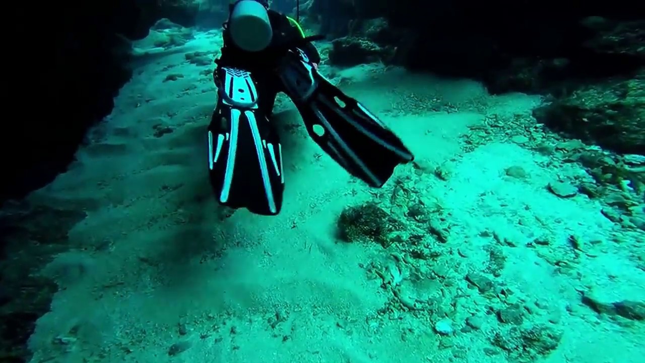 Roatan Dive Trip - YouTube