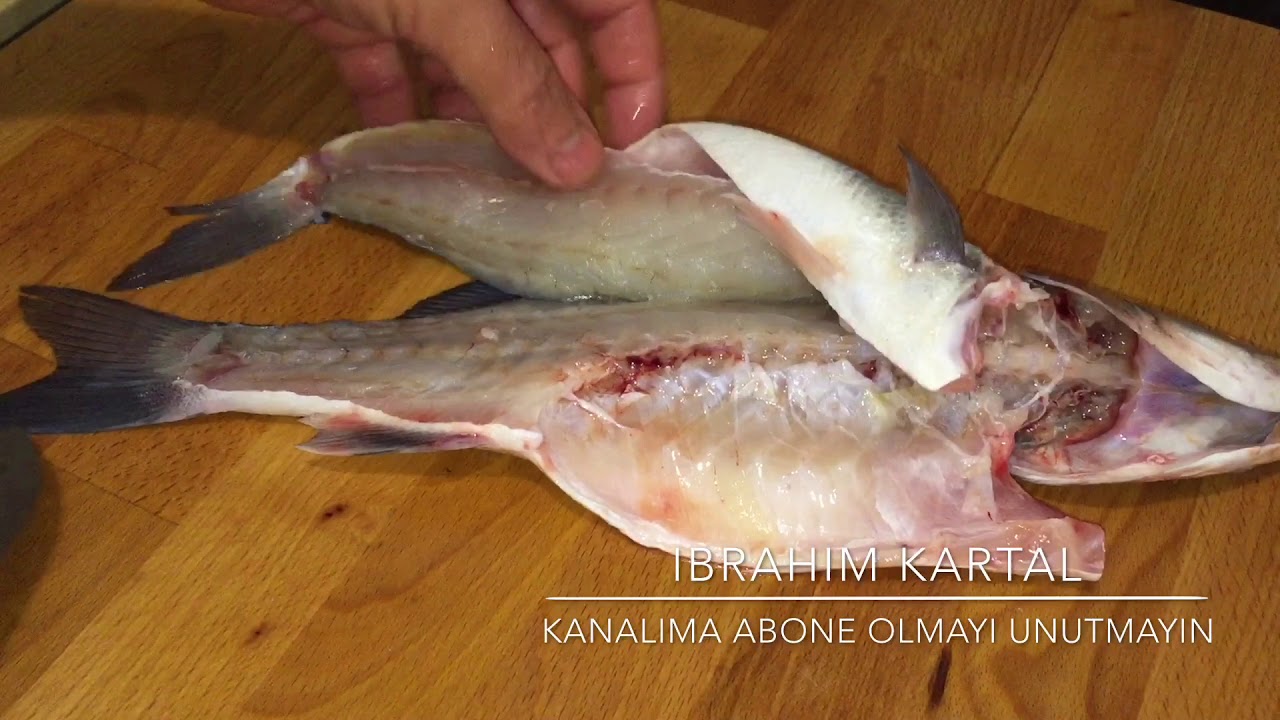 Wie Bereite Ich Einen Seebarsch Zu / Levrek Nasil Temizlenir / Tavada ...