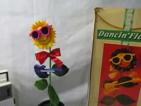 Dancin Flor da Estrela boneca anos 80 brinquedo Roger Feres - YouTube