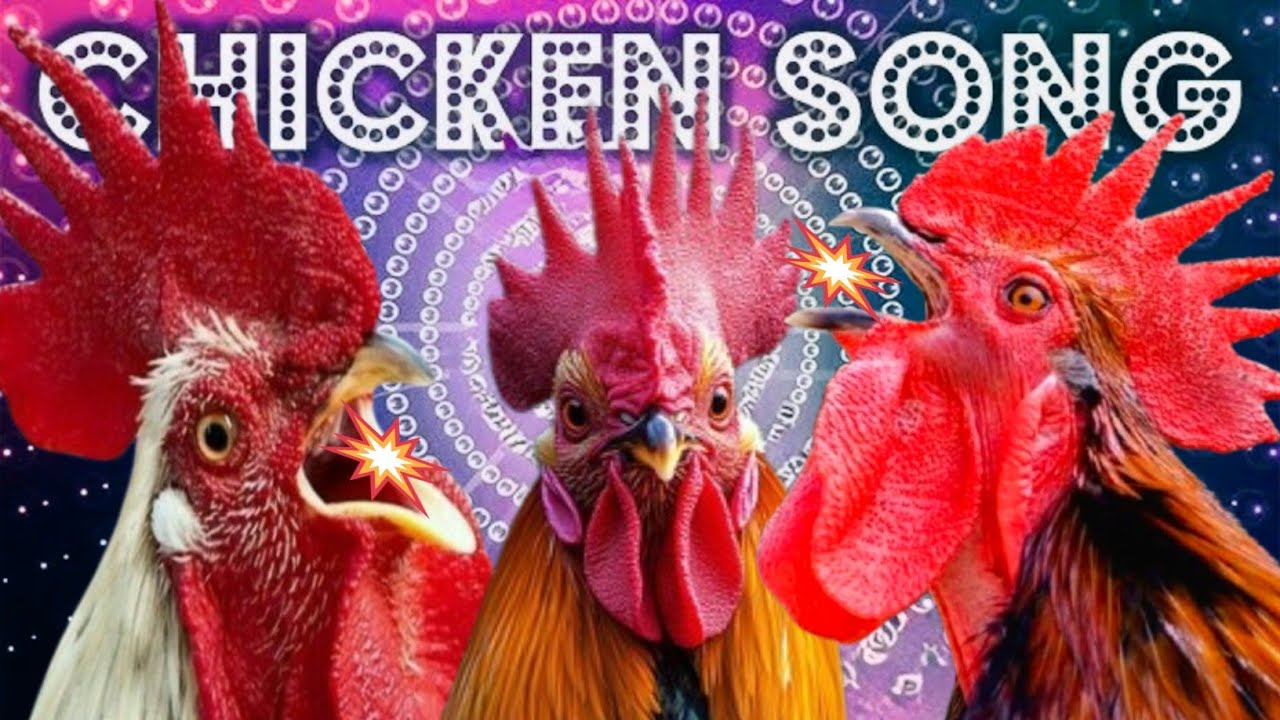 Viral Rooster Dance |Chicken Dance | Murga Dance#catvideos # ...