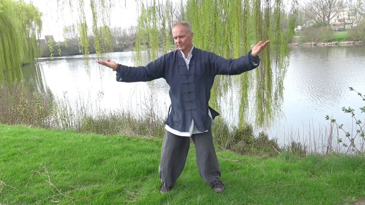 Séance De Qi Gong Renforcer Lénergie Du Rein Et Votre Santé Youtube