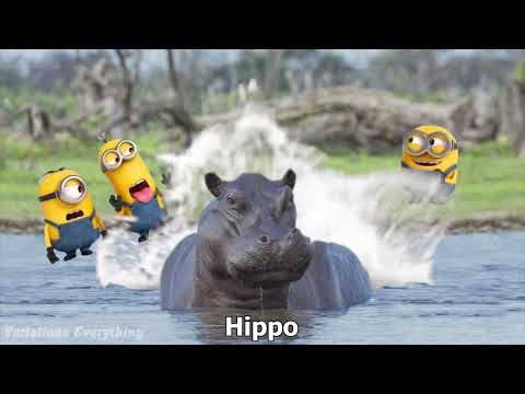 9 Minions Fart Sound Variations in 48 Seconds #SoundVariations