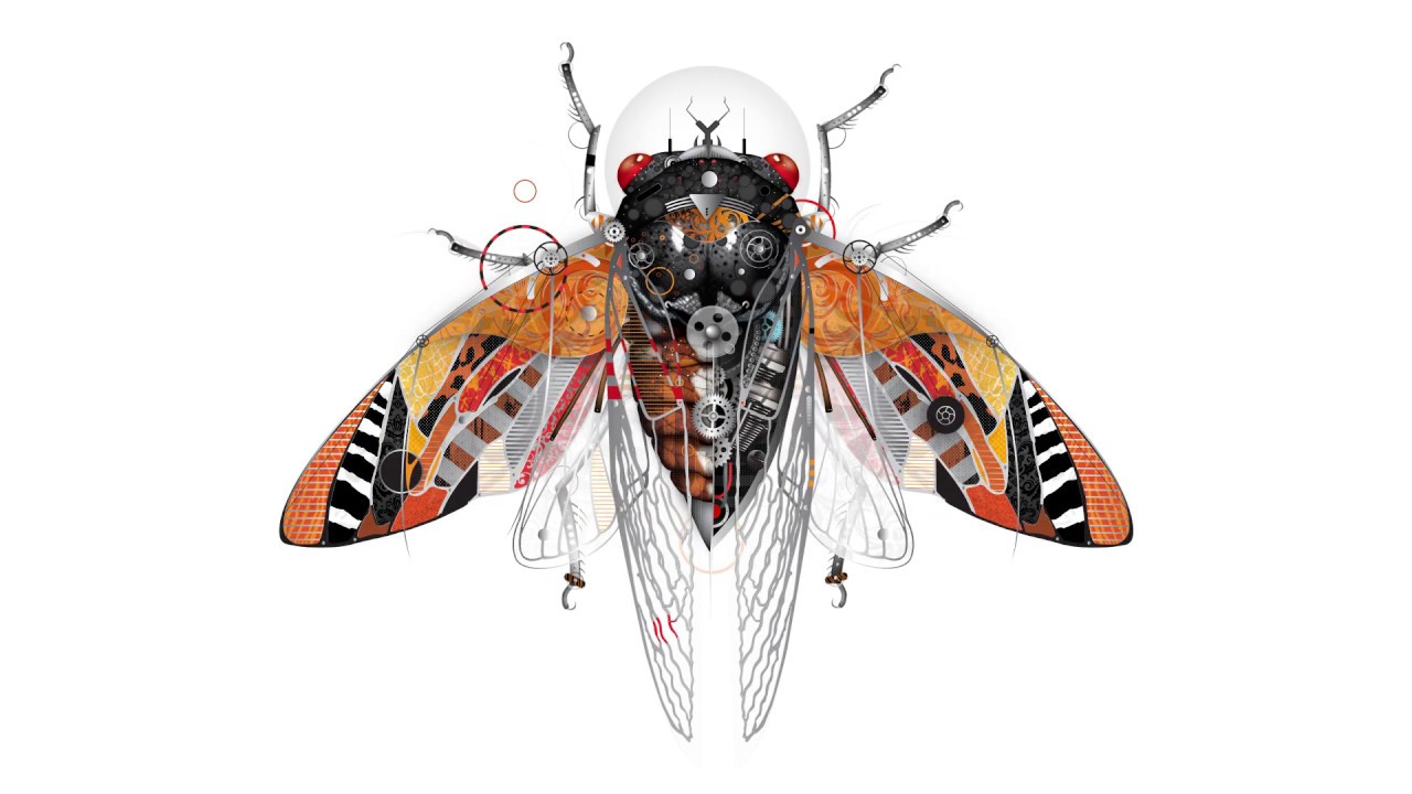 CICADA by MICHAEL PANTUSO - YouTube