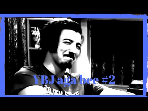 YBJ aga bee #2