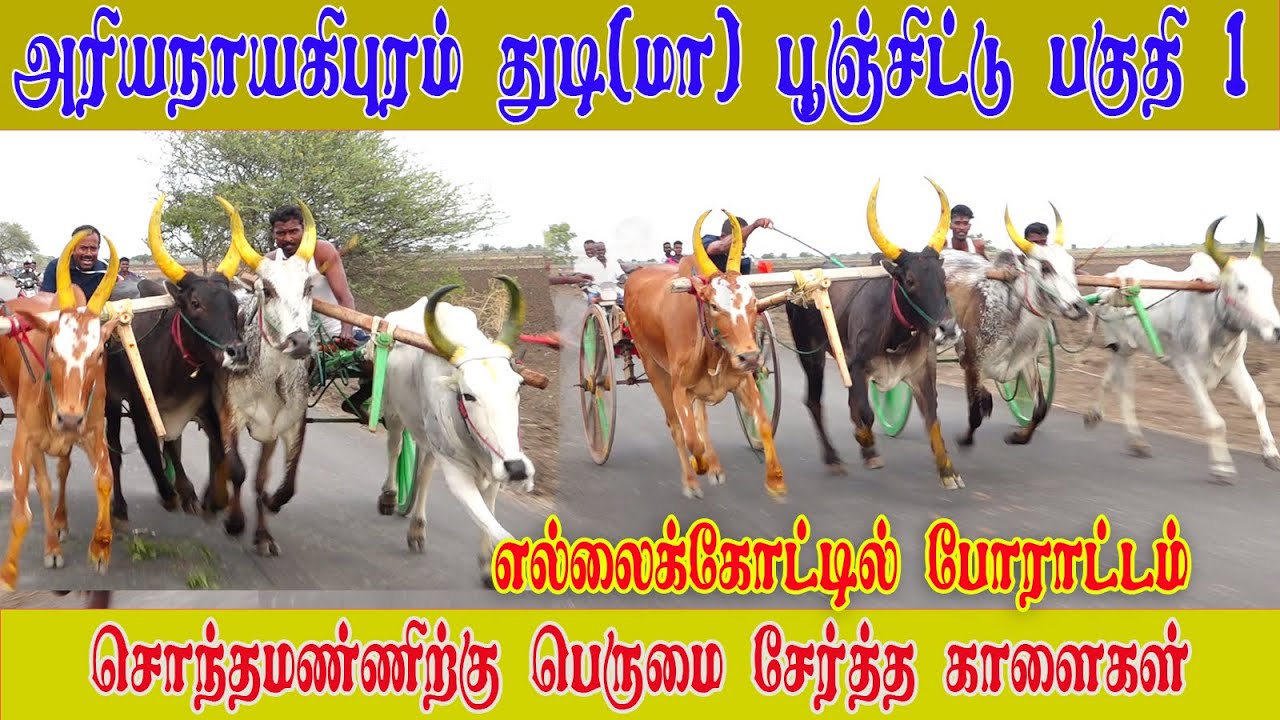 அரியநாயகிபுரம் பூஞ்சிட்டு part 1 | மாட்டுவண்டி | ரேஸ் | aps videos ...