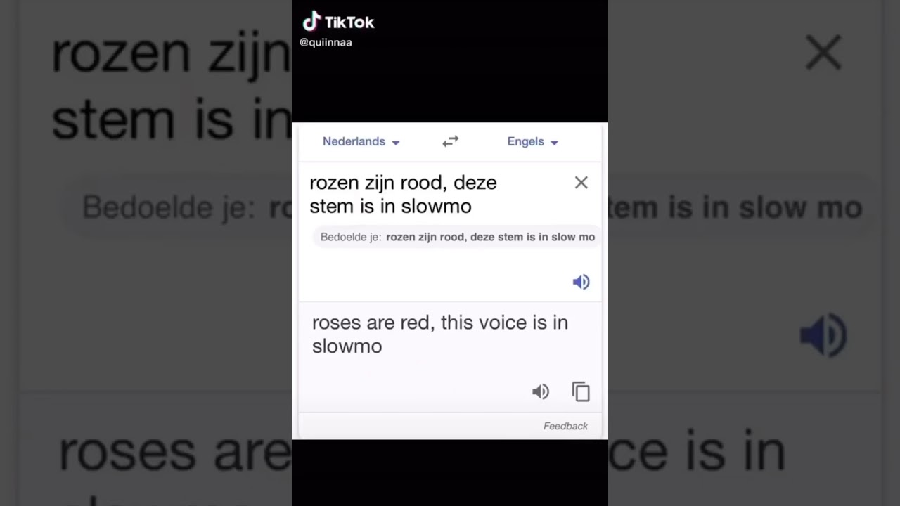 ROZEN ZIJN ROOD - Google translate meme 15 - YouTube