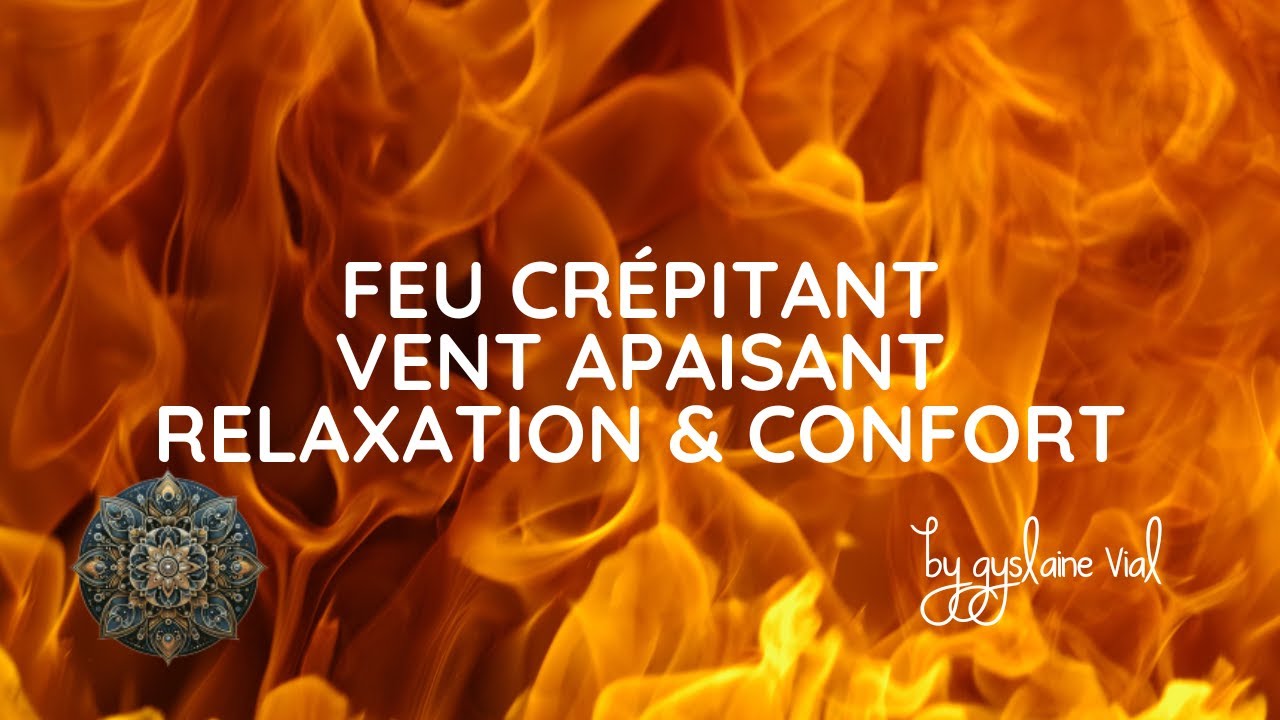 Chaleur et Apaisement 🔥 Feu de Cheminée et Vent Doux - YouTube