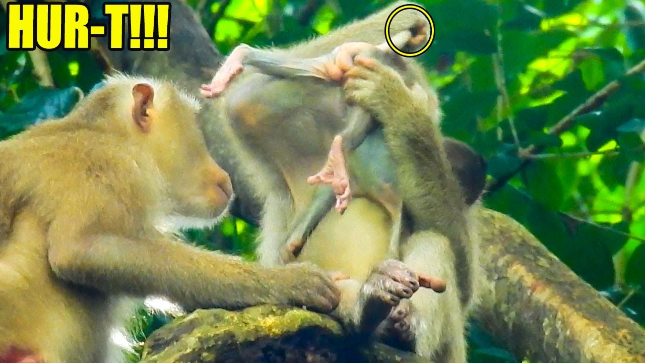 GOD HELP PLEASE! KATRINA SOMETIMES HUR-TS POOR BB RAINBOW IN FRONT OF LIBBY. HOW CAN LIBBY DO ...