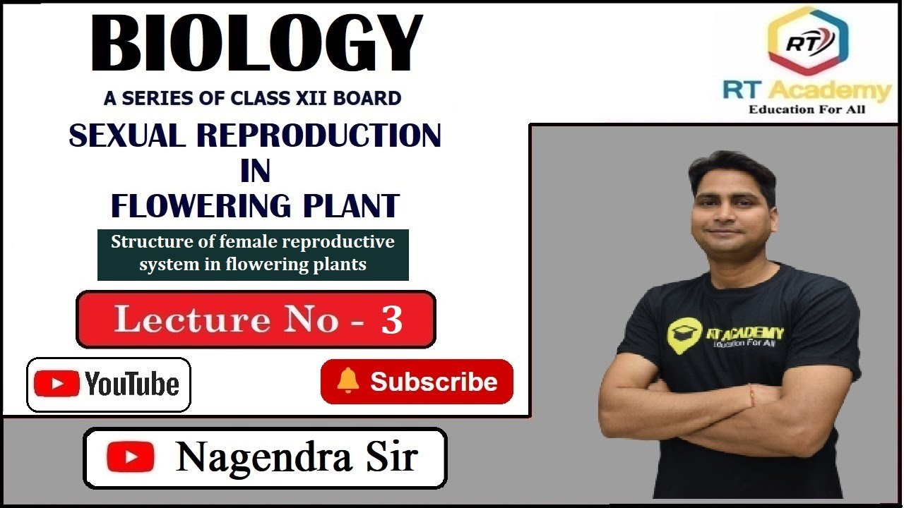 Class 12 SEXUAL REP. IN FLOWERING PLANT | L-3 Structure of Female Rep ...