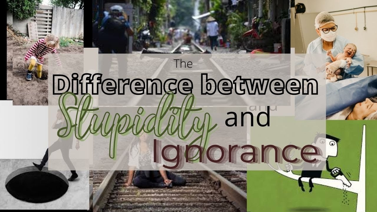 Difference Between Stupidity And Ignorance YouTube difference-between-stupidity-and-ignorance-youtube