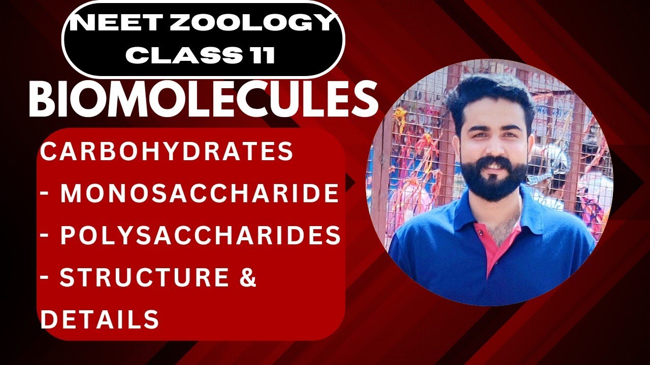 NEET | CLASS 11 | BIOMOLECULES| CARBOHYDRATES | MONOSACCHARIDE ...
