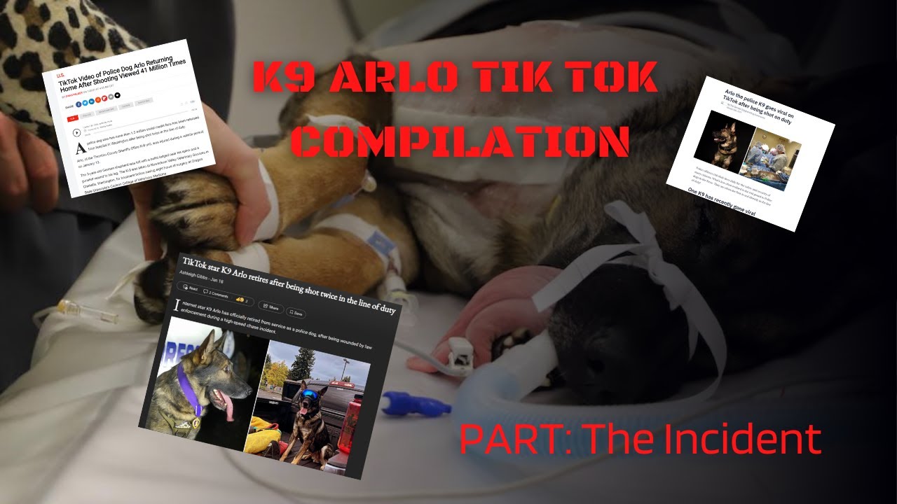 K9 Arlo Compilation Video Part: The Incident - YouTube