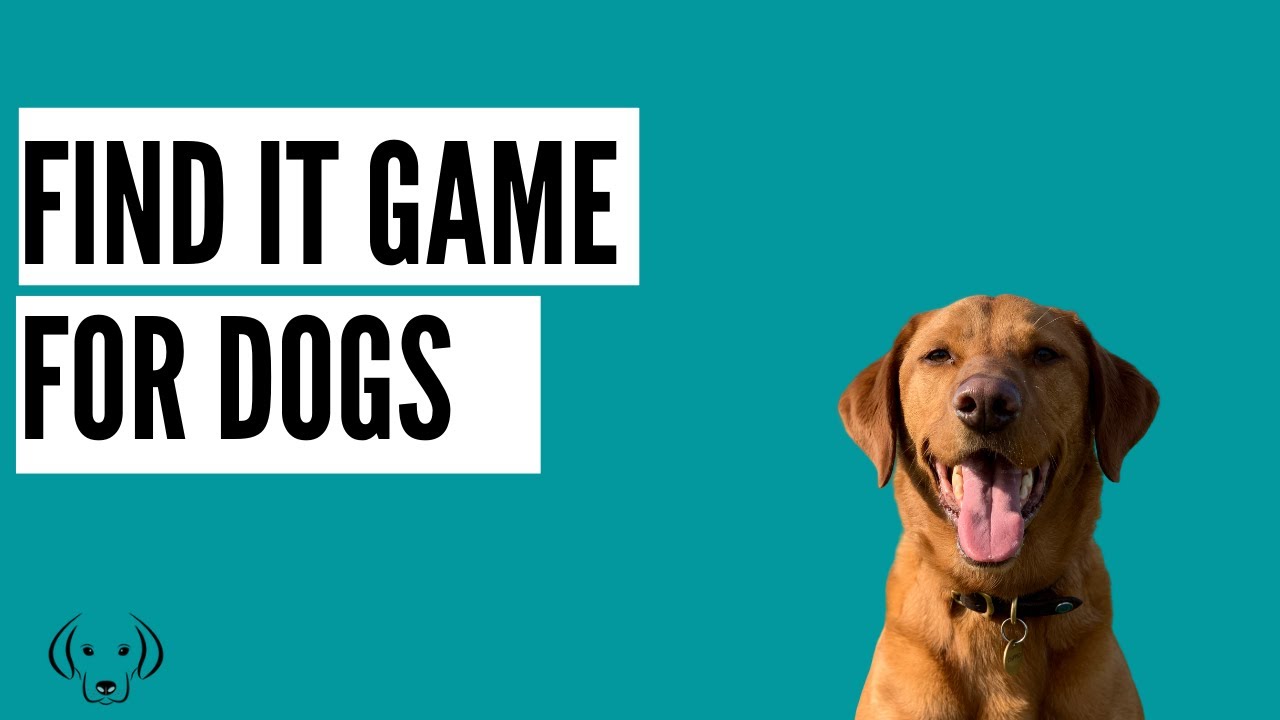 Fun "Find it" Game - YouTube
