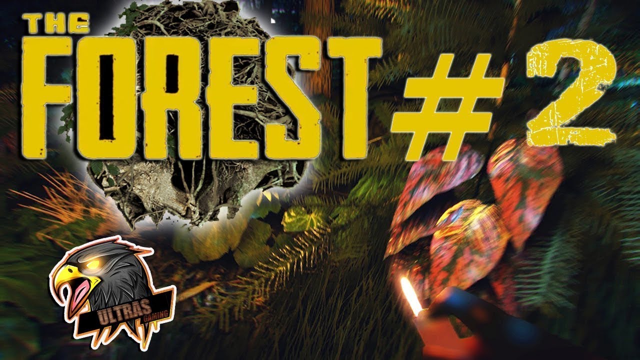the forest №2 - YouTube