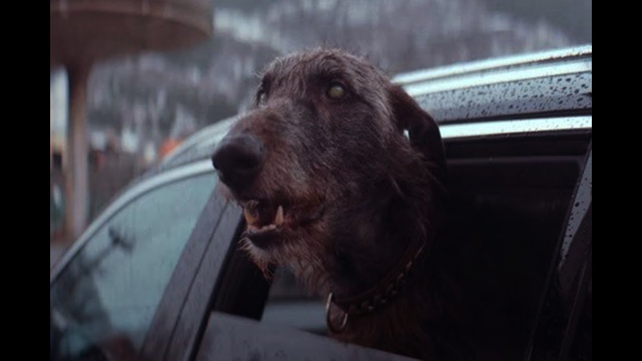 RAGNAROK Magne (Thor) vs Thrymr - YouTube