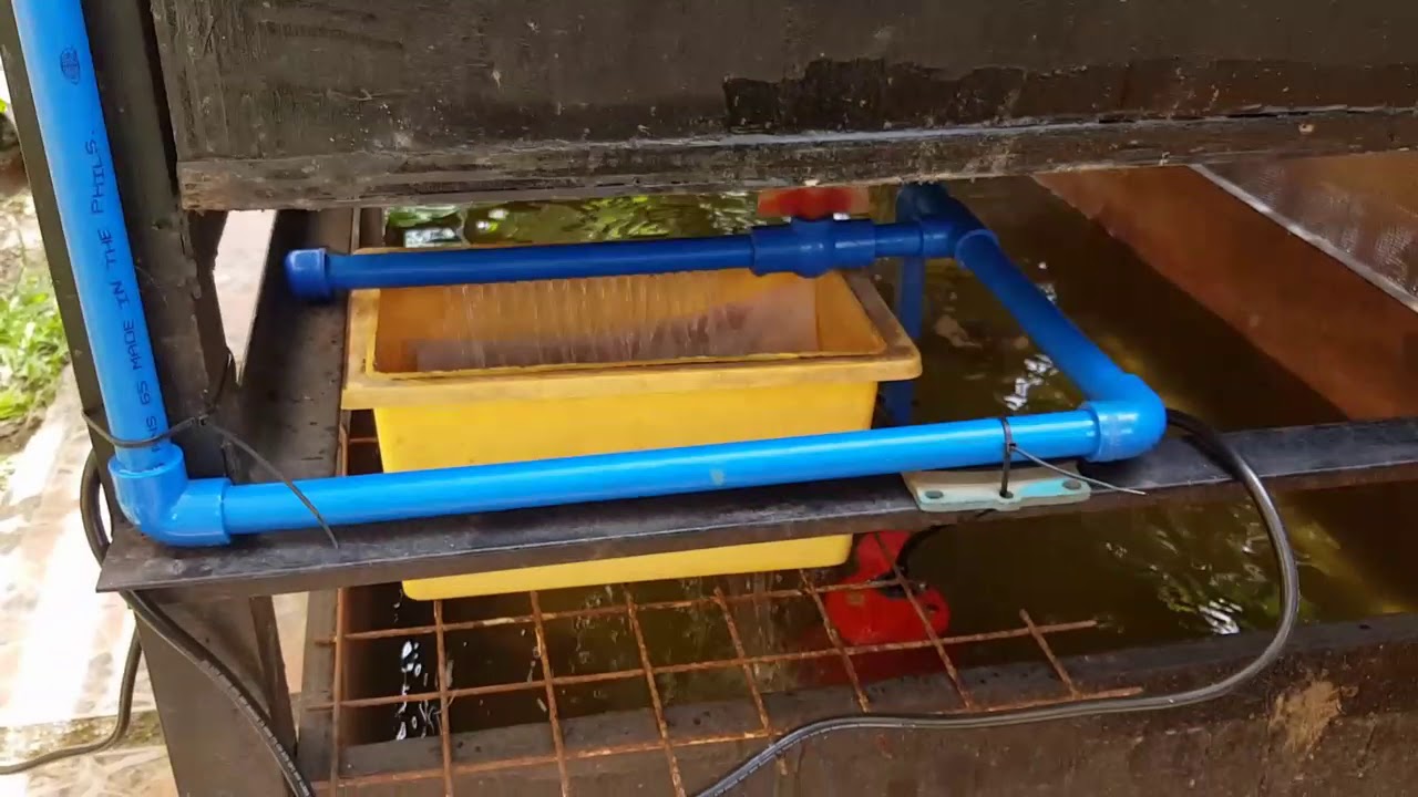 Modular pond with aquatic plant filtration - YouTube