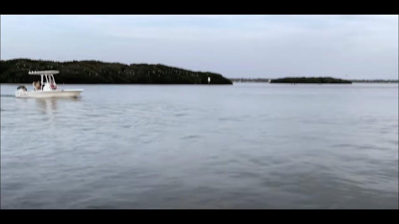 Sophomore Year Highlights - YouTube