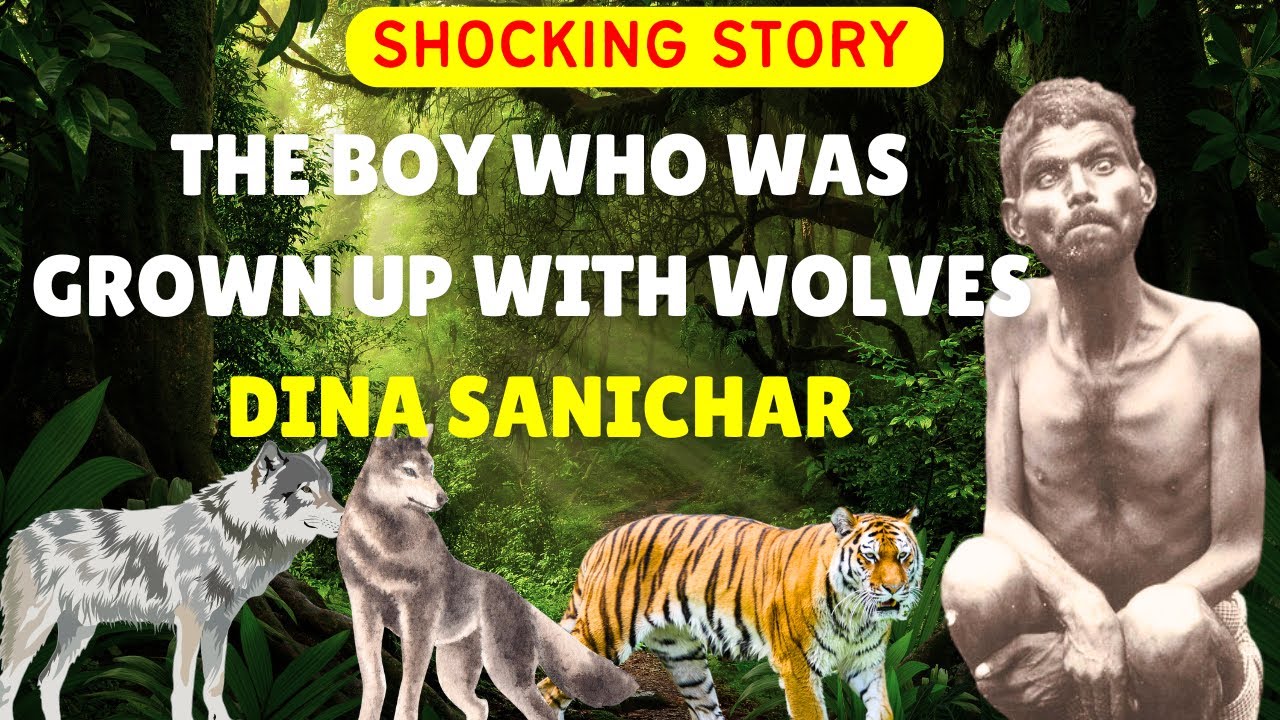 The Boy Who was grown up with Wolves - Dina Sanichar | Shocking Story ...