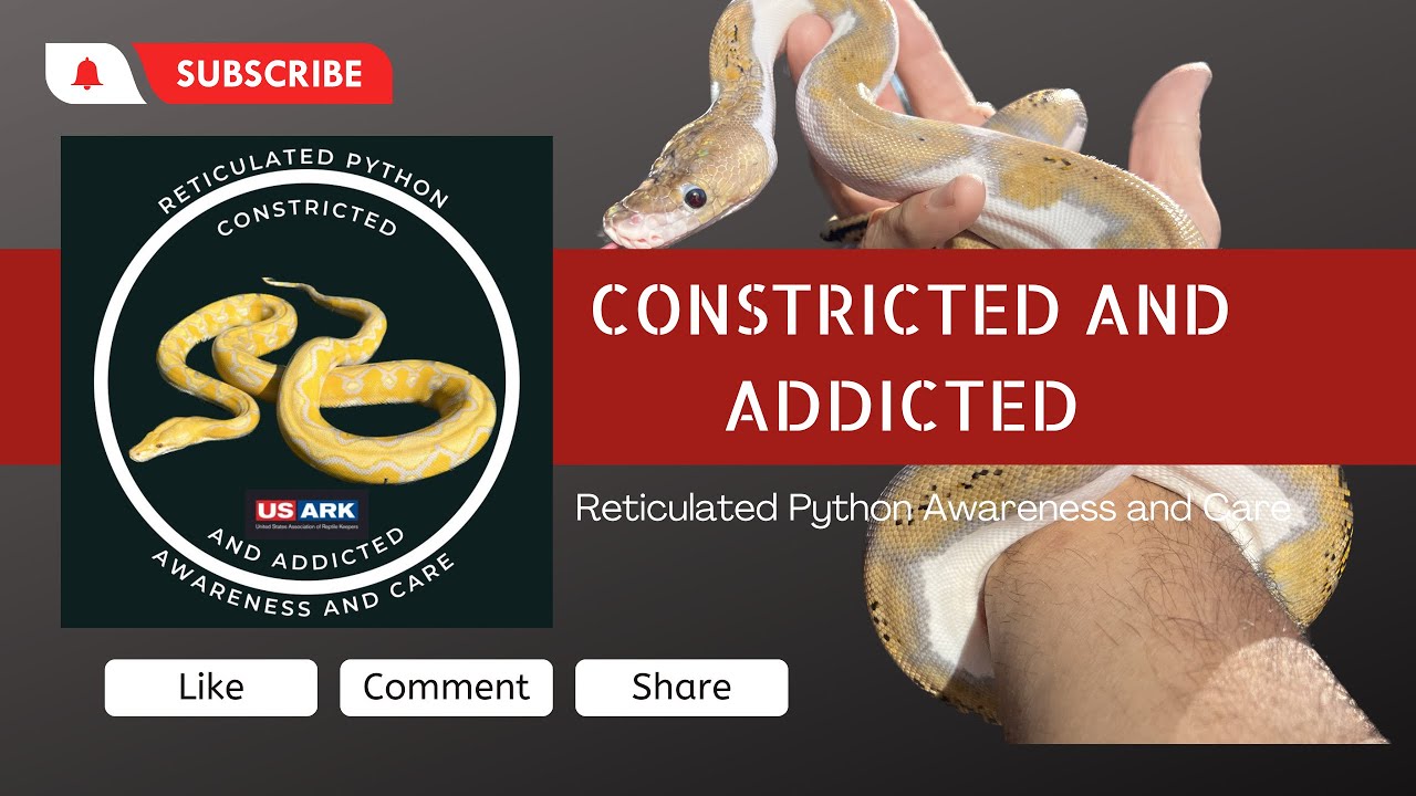 Retic Update Video - YouTube