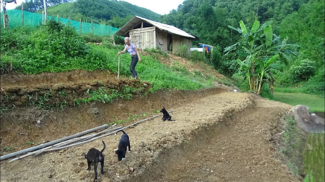 Dig Underground and how to make terraced fields primitive, farm ...