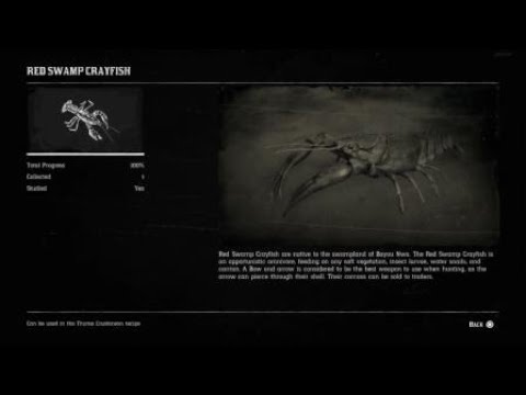Red Dead Redemption 2 Crayfish Hole - YouTube