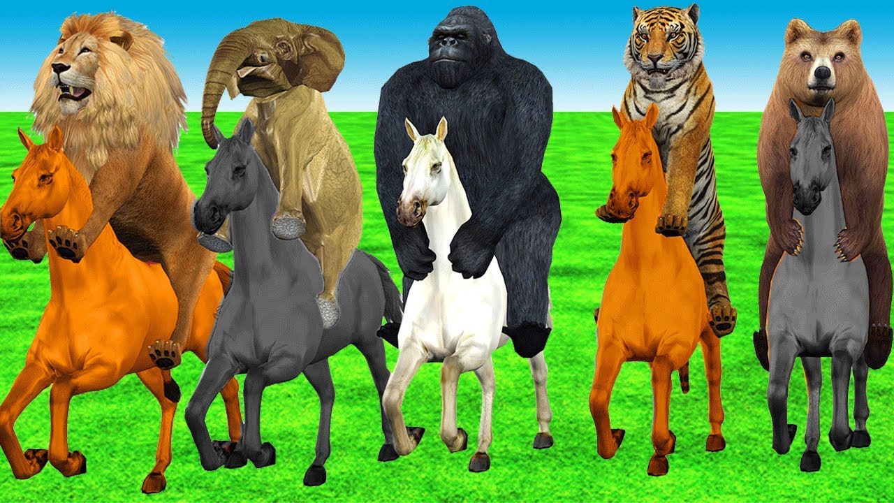Wild Animals Riding on Colors Horses Cartoons for Kids | Horse Running ...