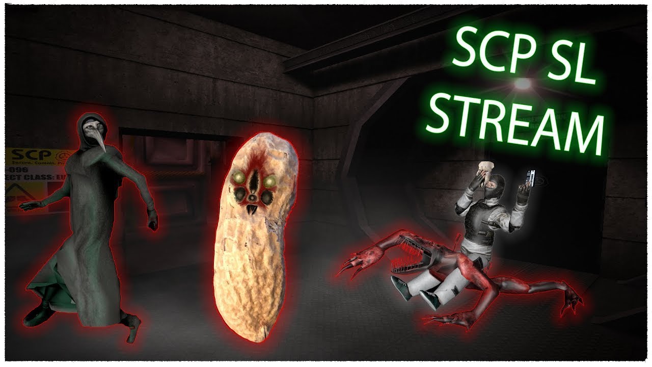 Scp SL - YouTube