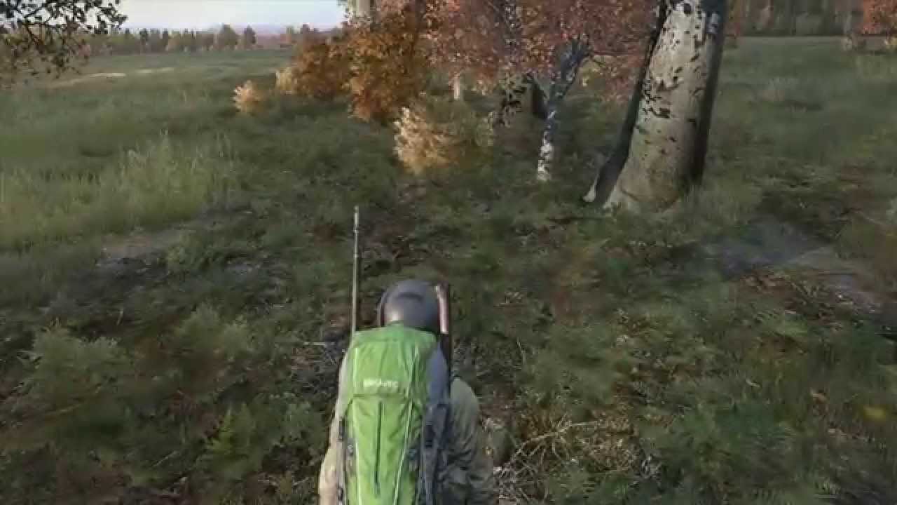 DayZ serious Grass flickering issue (most noticeable on forest floor ...