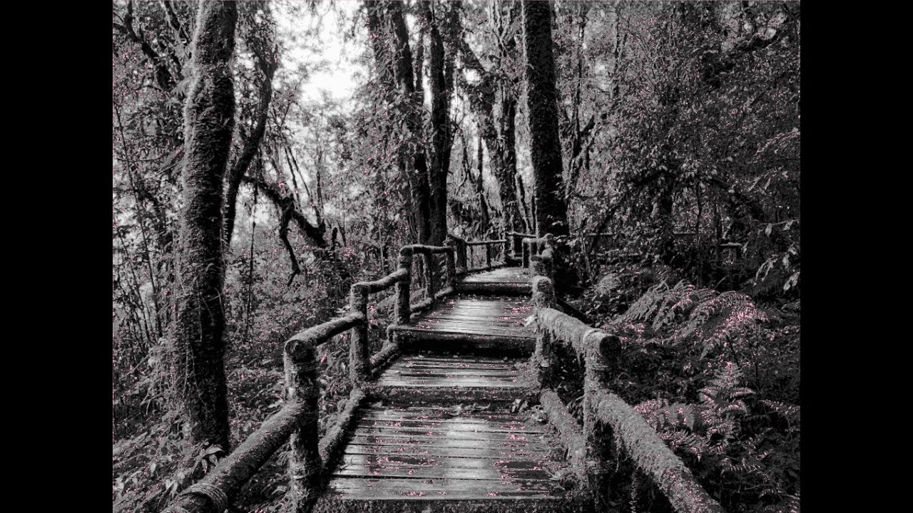 Automatic drawing in MS Paint with PyAutoGUI - YouTube