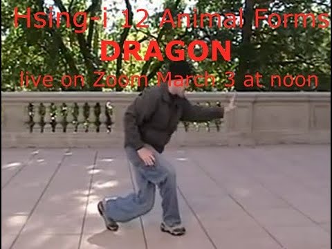 Hsing- i with Wilson Pitts 12 animal forms on Zoom! - YouTube