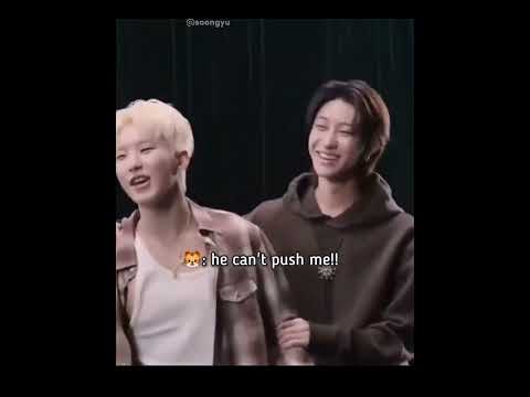 hao can't push his hyung and then their is dino😂😂❤️#seventeen #dino #the8 #hoshi