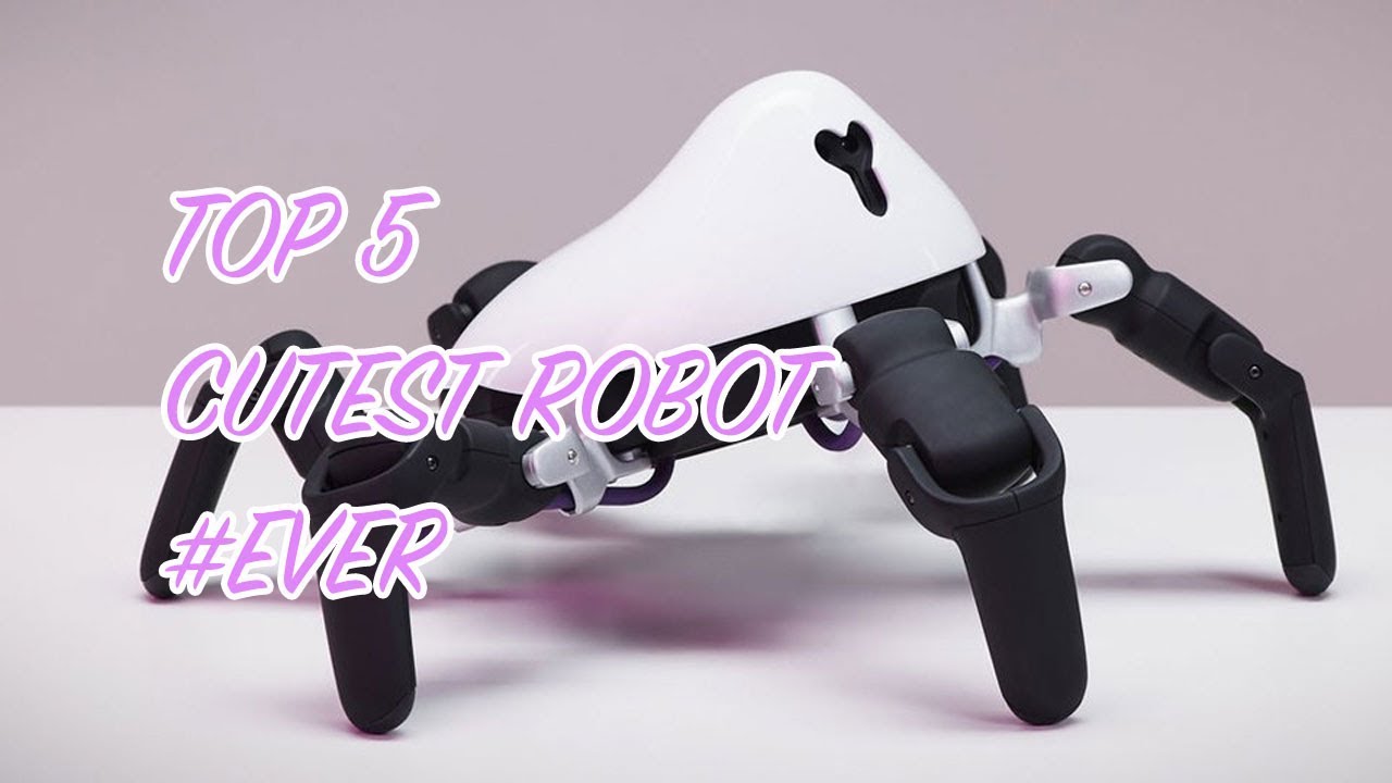 Top 5 Cutest Robots Arduino - YouTube