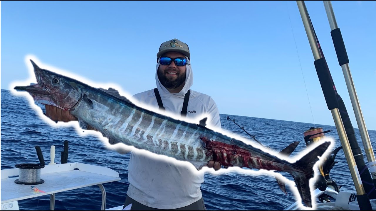Trolling for WAHOO OUT OF JUPITER INLET on a 31ft Contender (Swamp N ...