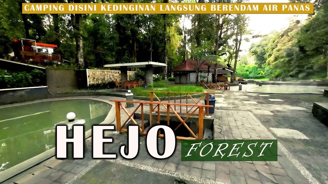 HEJO FOREST Ciwidey :"berendam serasa diluar negeri". - YouTube