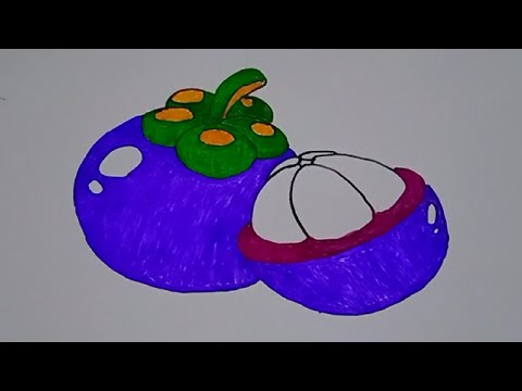 How to draw a mangosteen step by step (very easy) | cara gambar manggis ...