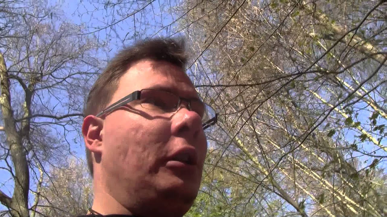Ascended Thomas i skoven stjernemenneske orion er nede med asetro - YouTube