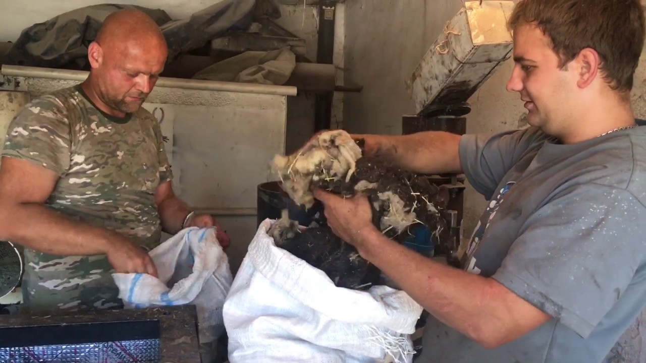 Гранулированная Овечья Шерсть Как Удобрения Твердая Гранула Гранулятор ...