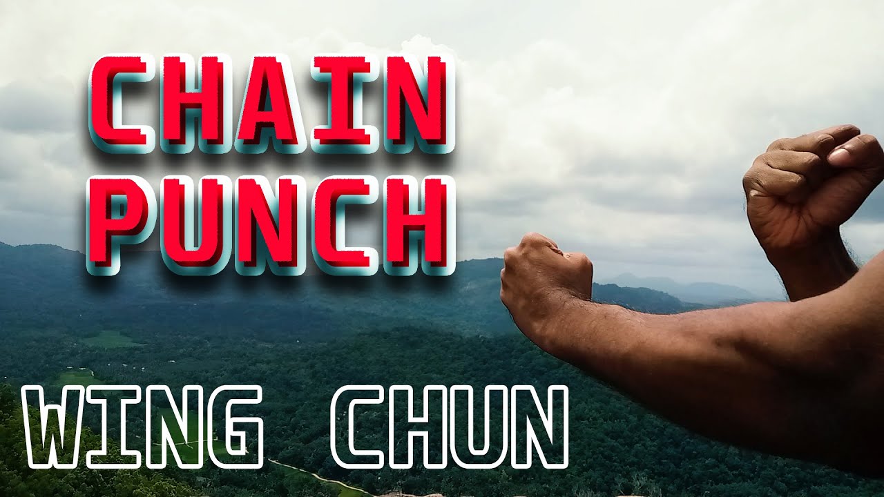Wing Chun Chain Punch Kung Fu @SanjayaSuraweera #kungfu #punch #speed # ...