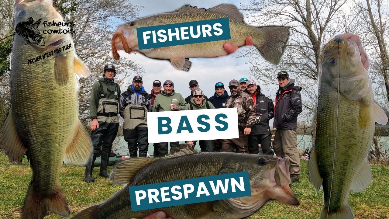 Sortie Fisheurs Comtois prespawn Fisherie bass Jura Fishing 2026 - YouTube