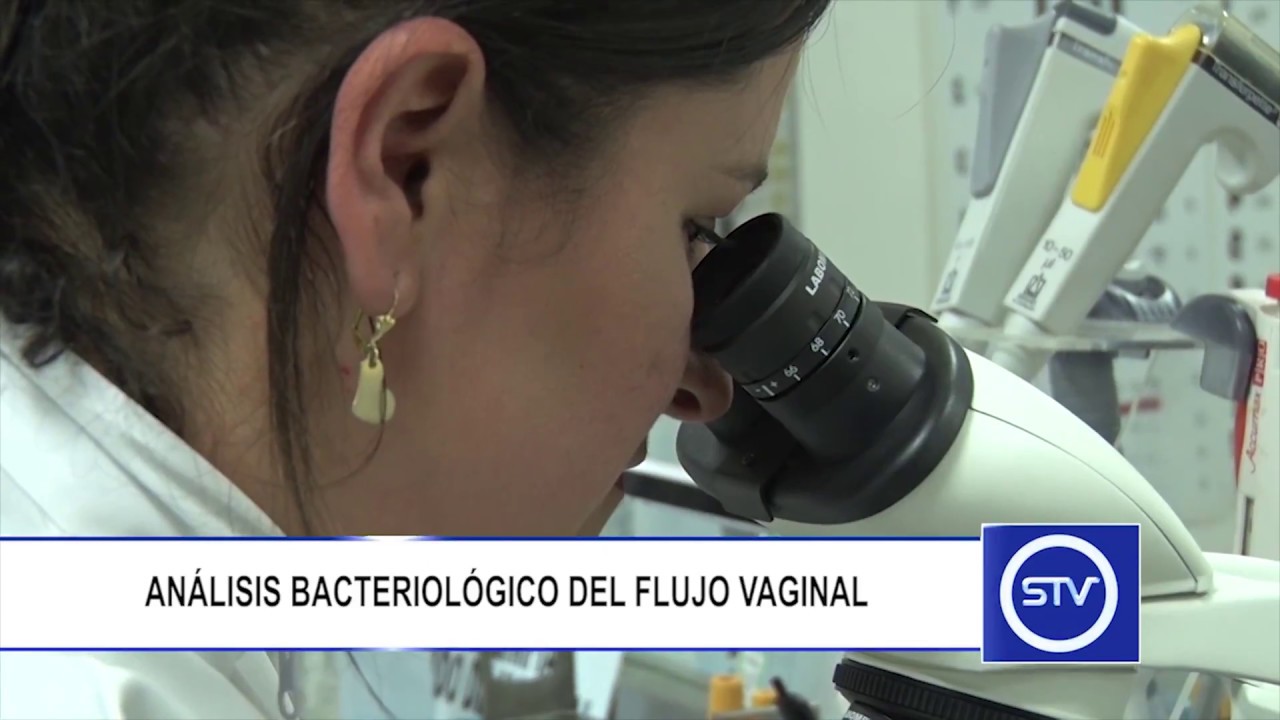 ANÁLISIS BACTERIOLÓGICO DEL FLUJO VAGINAL - YouTube