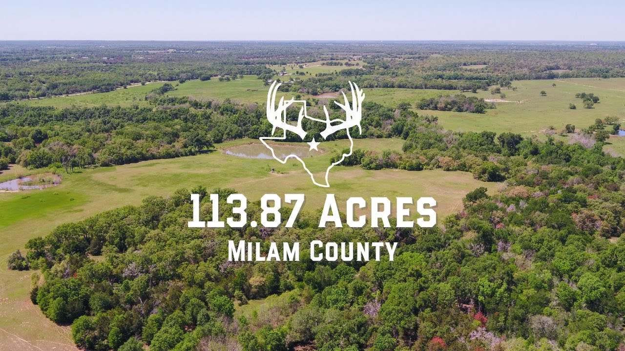 113 Acres in Milam County - YouTube
